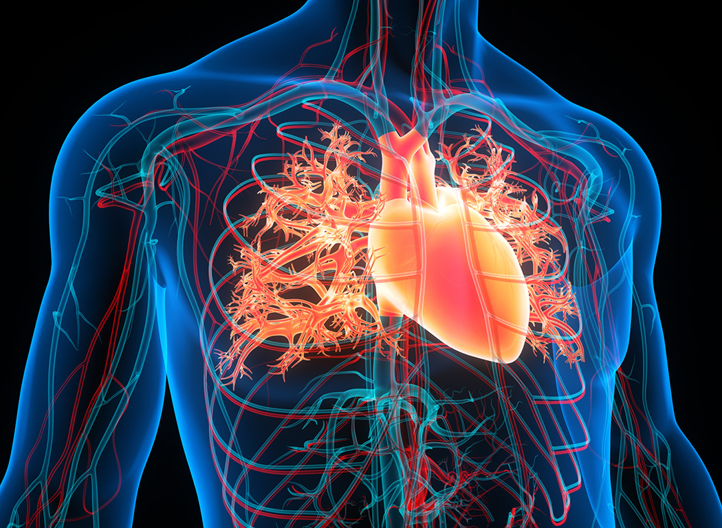 Comprehensive cardiovascular overview