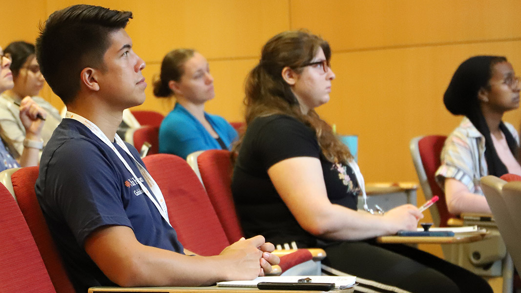 Accelerated BSN prerequisites